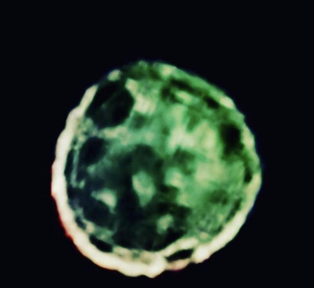 “That (UFO Video) is the Real Thing” – Experiencer Chris Bledsoe ...