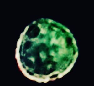 “That (UFO Video) is the Real Thing” – Experiencer Chris Bledsoe ...